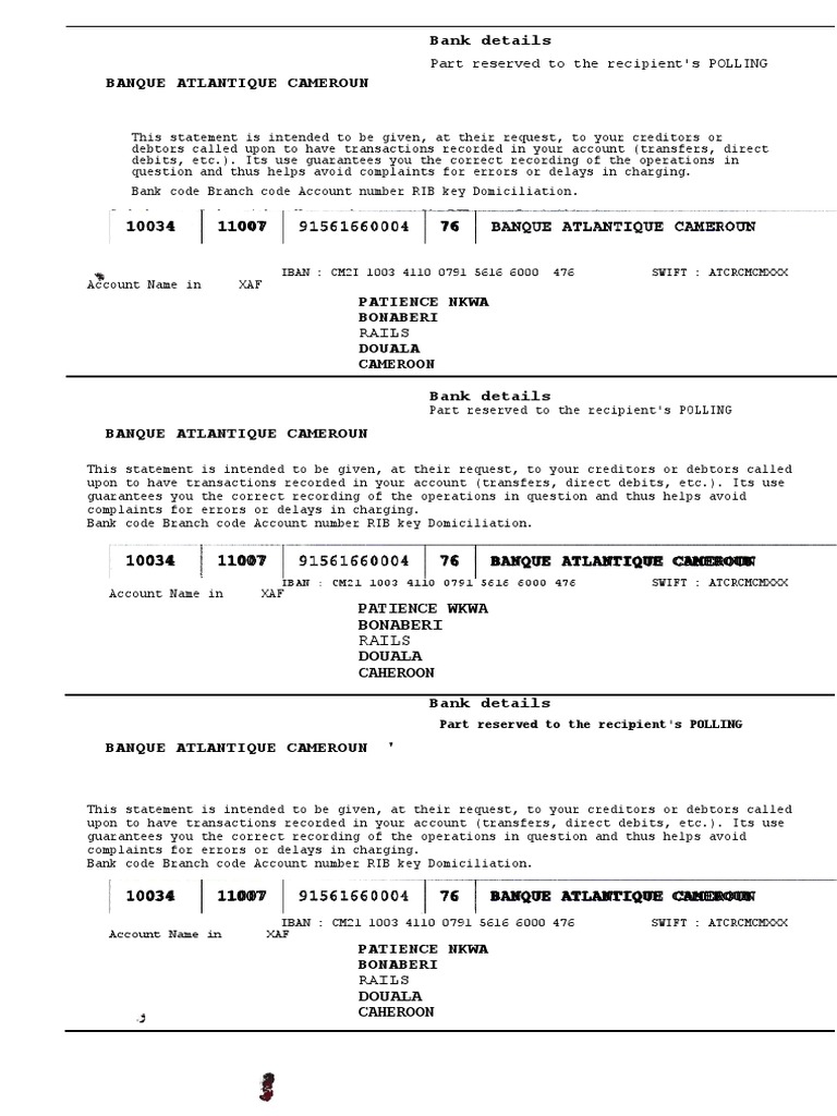 Rib Patience Nkwa Nih | PDF | Banking | Corporations