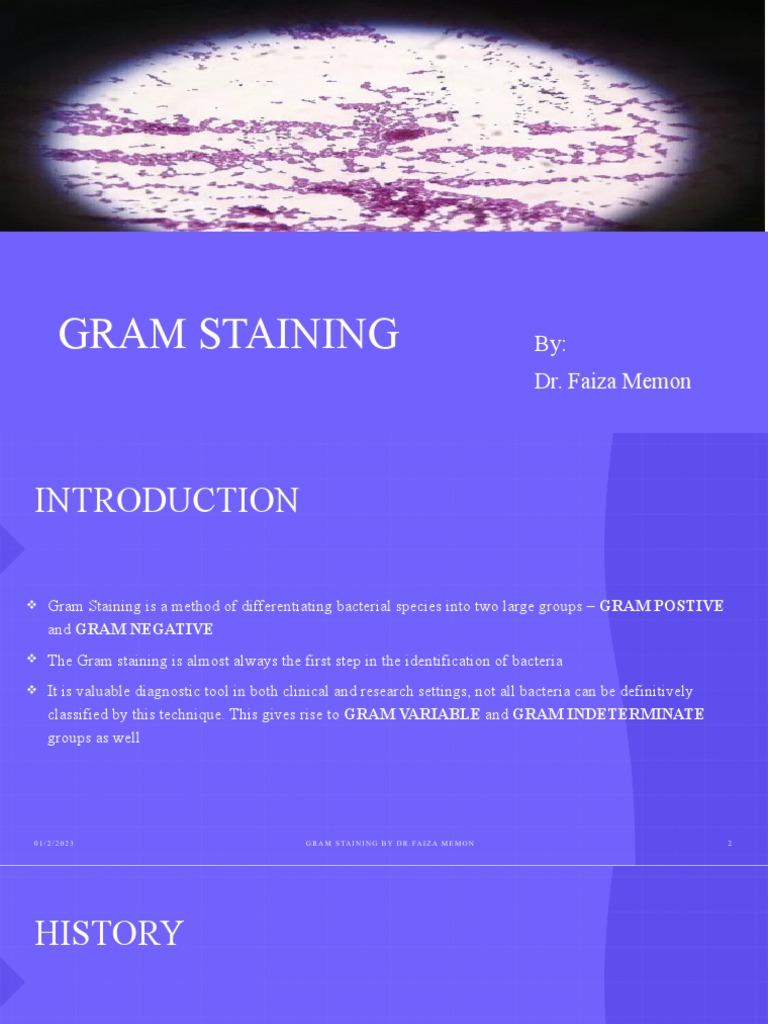 Introduction to Gram Staining | PDF | Staining | Immunology