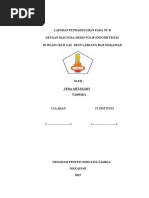 PPK Pua-P (Polip) | PDF