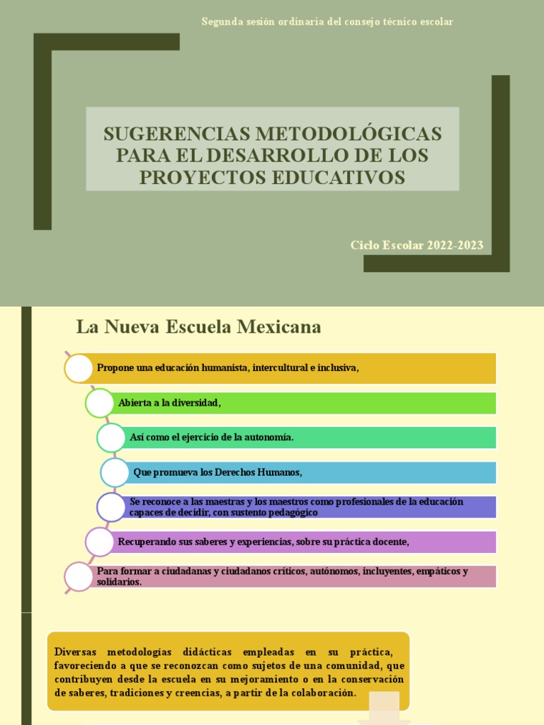Sugerencias Metodológicas Para El Desarrollo De Los Proyectos 083553