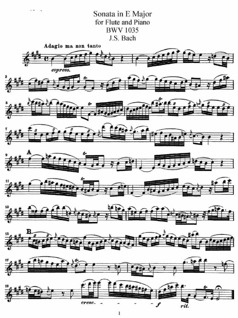 J. S. Bach Flute Sonata BWV 1035 | PDF