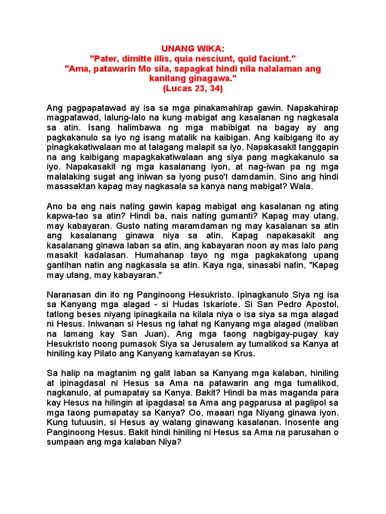 Reflection Pitong Huling Wika | PDF