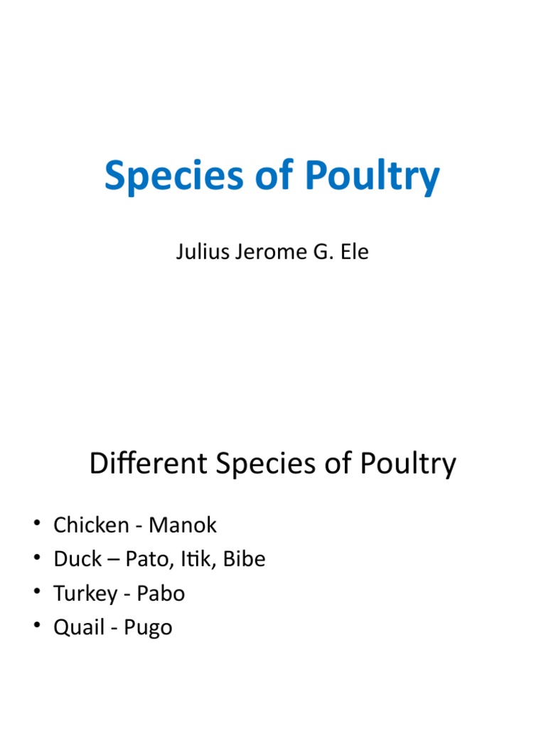 Species of Poultry | PDF