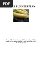 Maize Farming Proposal | PDF | Maize | Agriculture