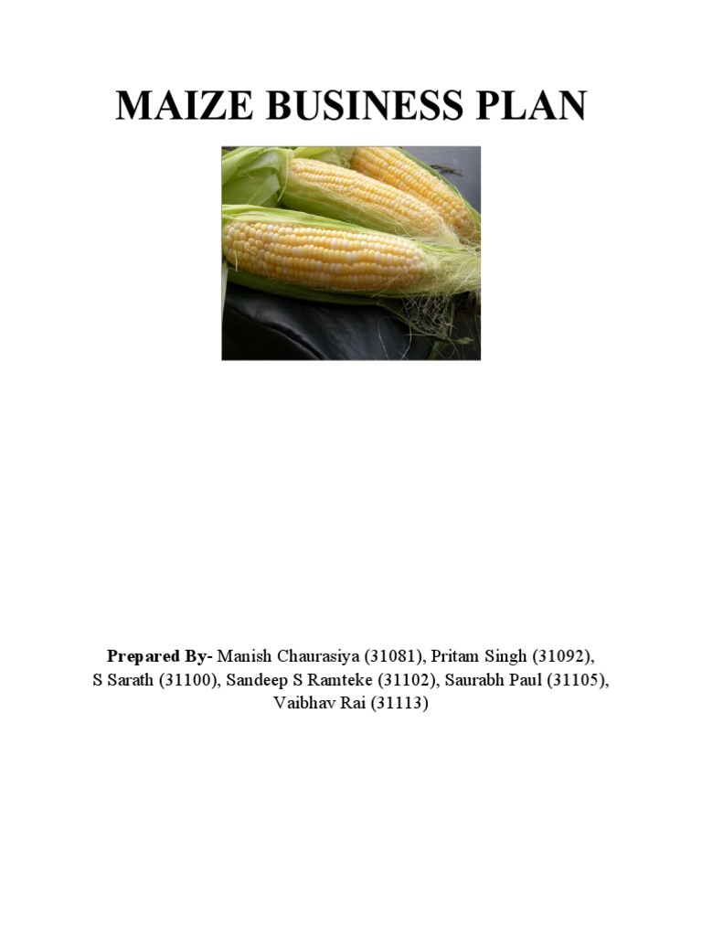 Maize Business Plan | PDF | Wheat | Popcorn