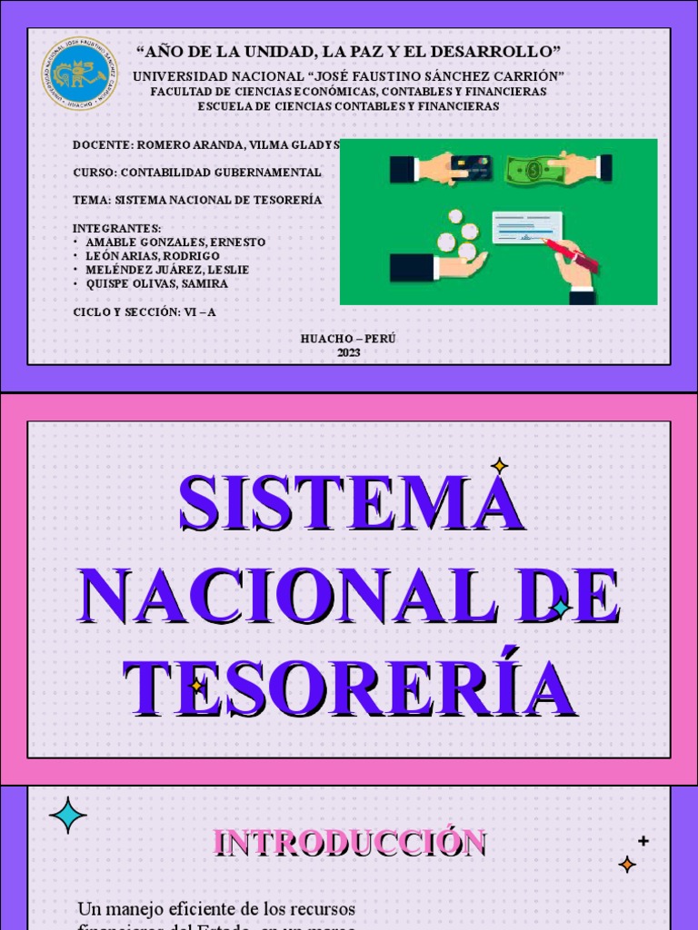 Informe sobre el Sistema Nacional de Tesorería | PDF | Empresa de ...