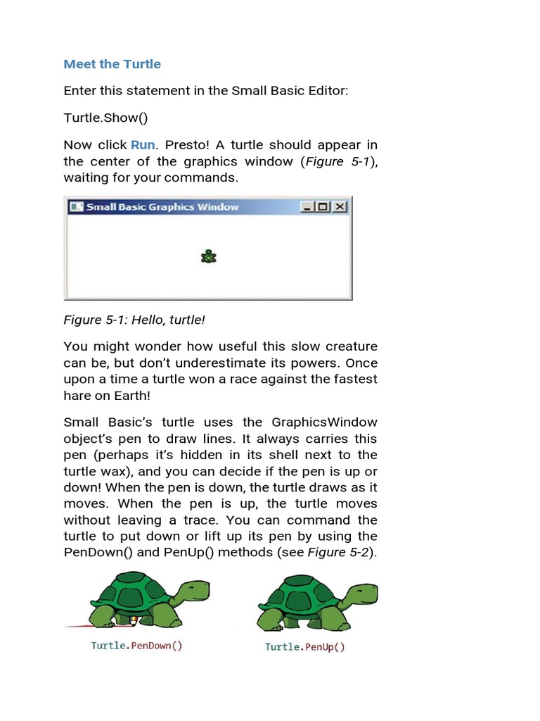 Meet The Turtle | Download Free PDF | Control Flow | Circle