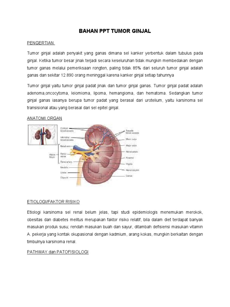 Bahan PPT Tumor Ginjal | PDF
