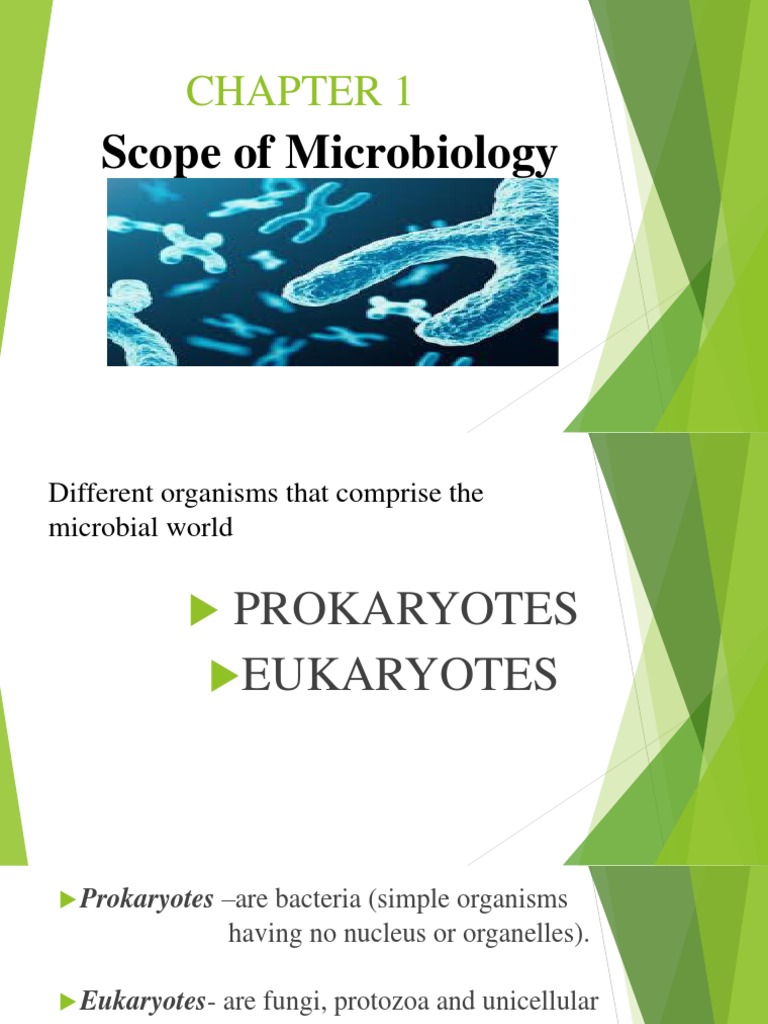 Overview of Microbiology Basics | PDF | Microorganism | Microbiology