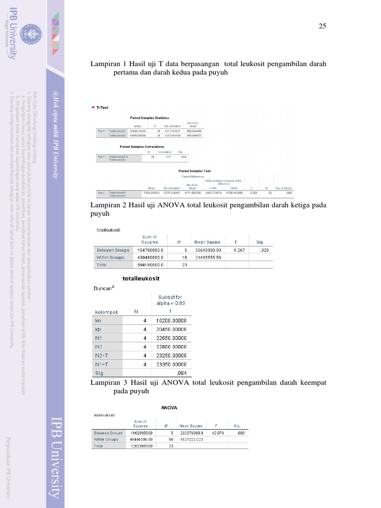 Draft Skripsi Aisyah Dian Julyanti - B04170178 - Lampiran | PDF