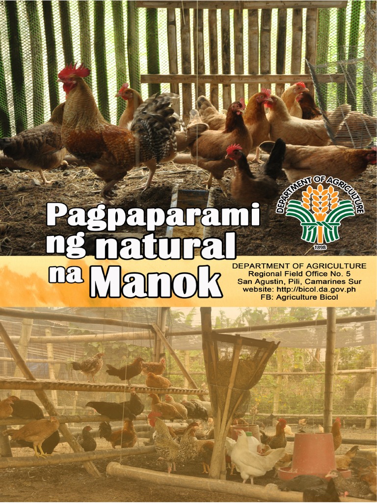 Pagpaparami NG Natural Na Manok 2021 | PDF Pagpaparami NG Natural Na Manok 2021 | PDF