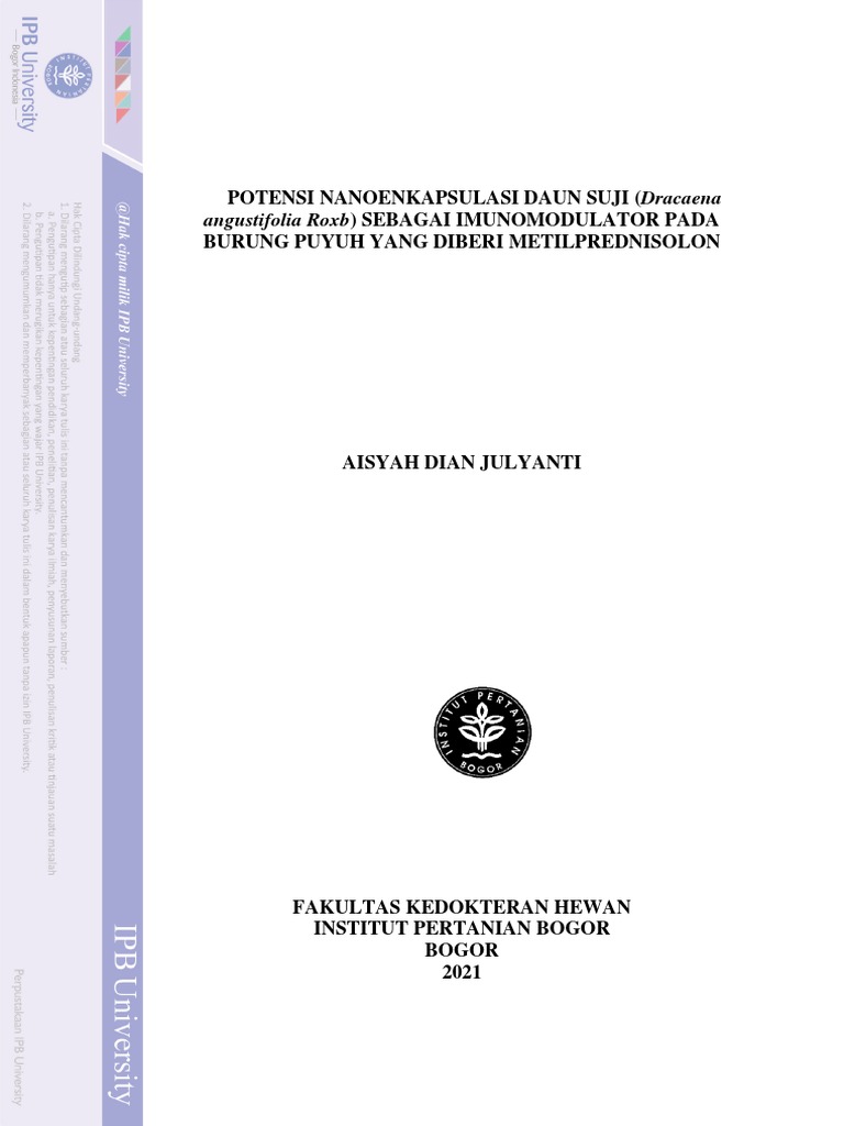 Draft Skripsi Aisyah Dian Julyanti - B04170178 (AutoRecovered) | PDF