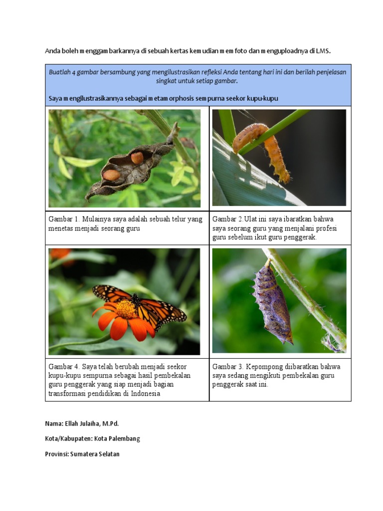 Reflective Storyboard | PDF | Karier & Perkembangan | Seni & Disiplin ...