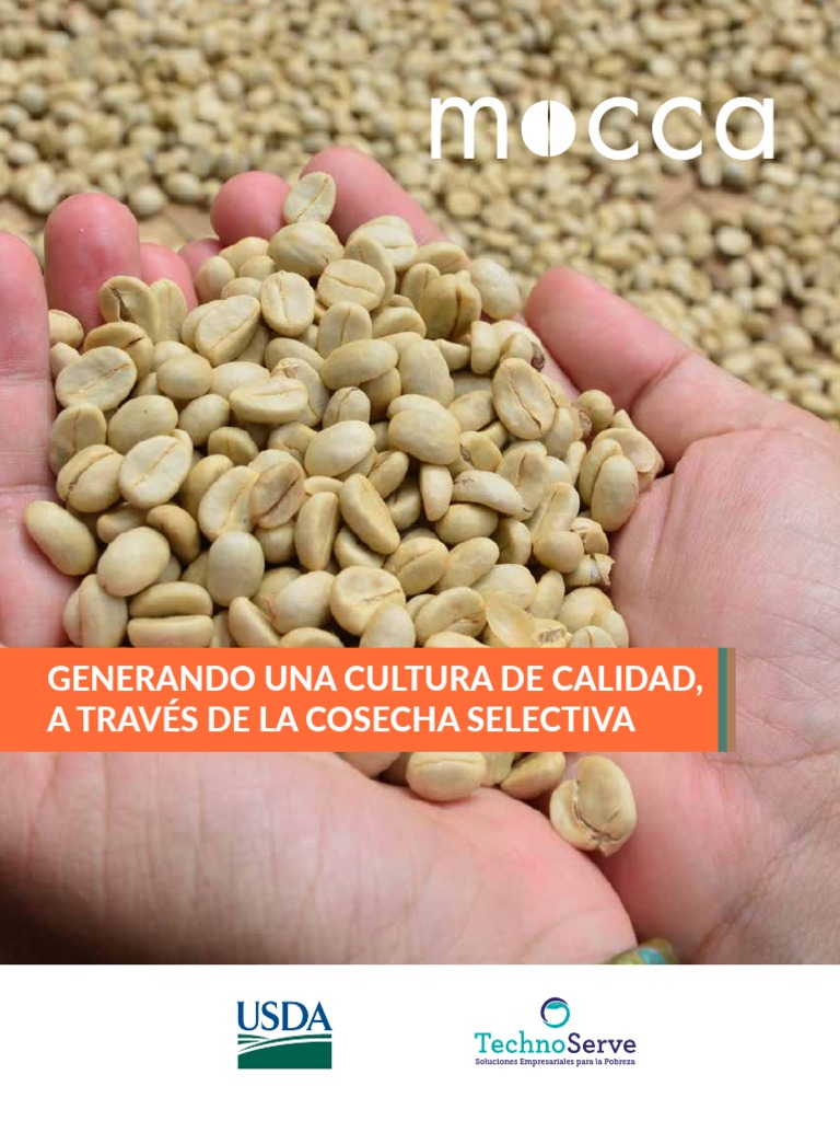 Control de Calidad y Cosecha Selectiva | PDF | café | Cosecha