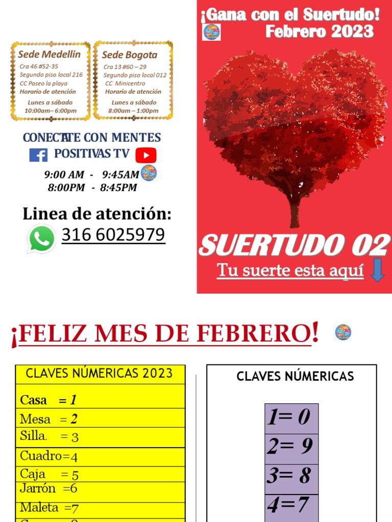 Revista SUERTUDO Feb | PDF | Adivinación | Hermetismo