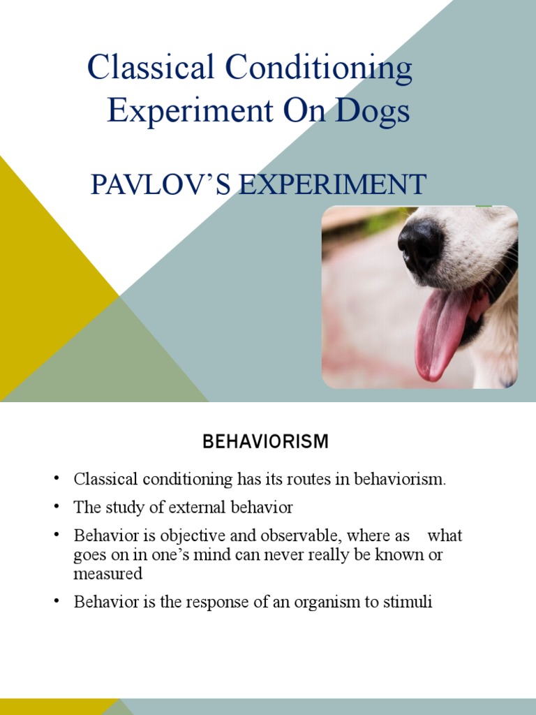 Pavlov's Dogs: Classical Conditioning Experiment | PDF | Classical ...