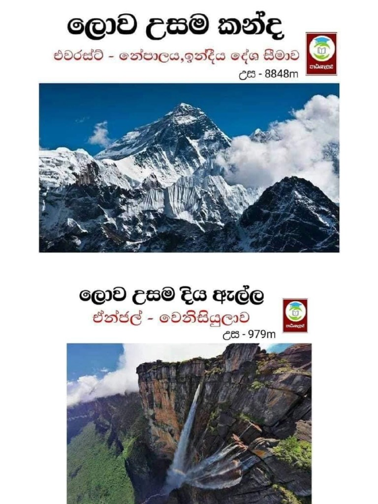 Interesting Facts | PDF Interesting Facts | PDF