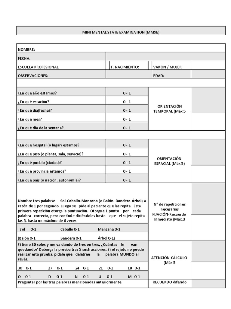 Mini Mental State Examination | PDF