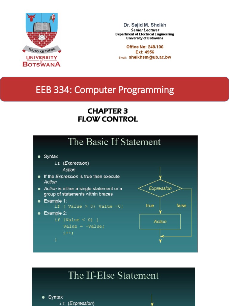 EEB 334 - Chapter 3 | PDF | Boolean Data Type | Software Engineering