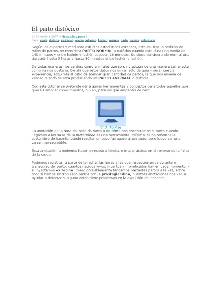 Guía detallada para la asistencia de un parto distócico en cerdas | PDF ...