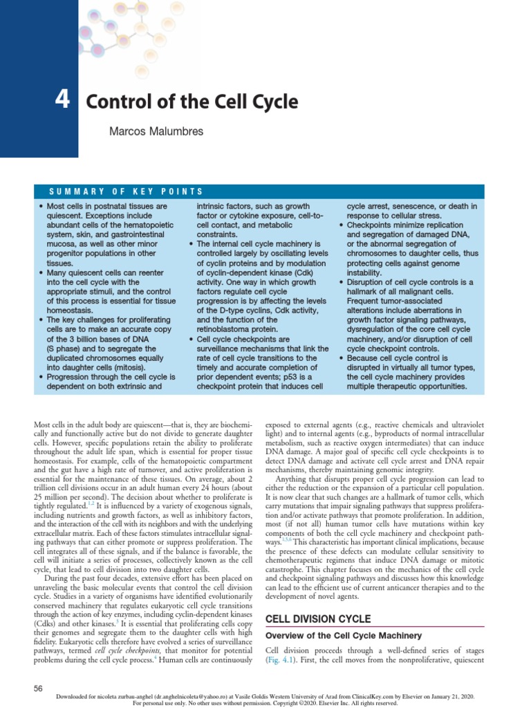 Abeloff Clinical Oncology 2020 (Part 4) | PDF | Cell Cycle | Mitosis