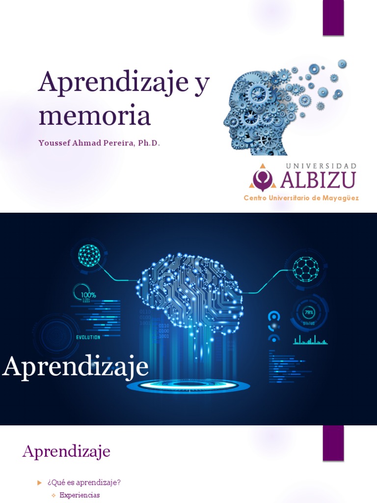 Aprendizaje Y Memoria Pdf Sinapsis Memoria