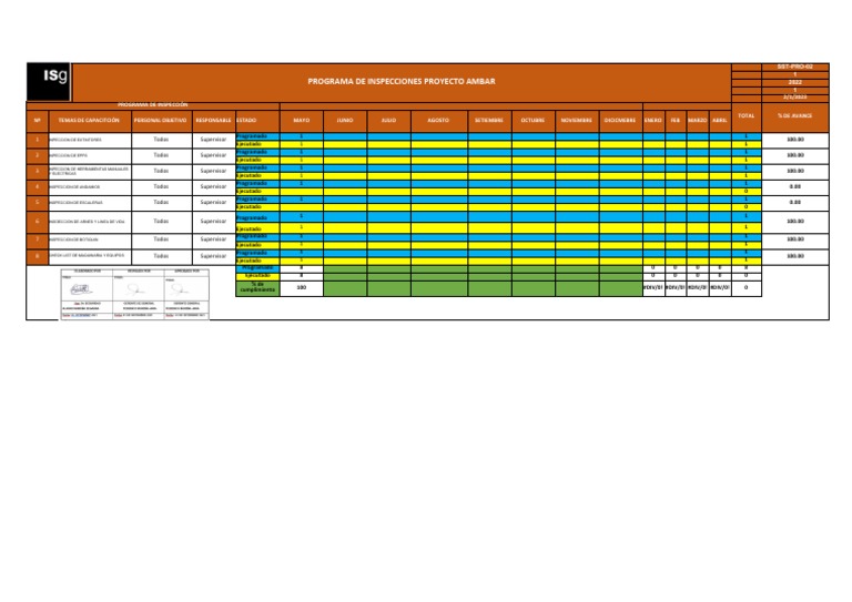 Programa de Inspección - Ambar | PDF