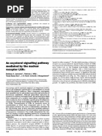 Mew Pattern | PDF | Crochet | Amigurumi