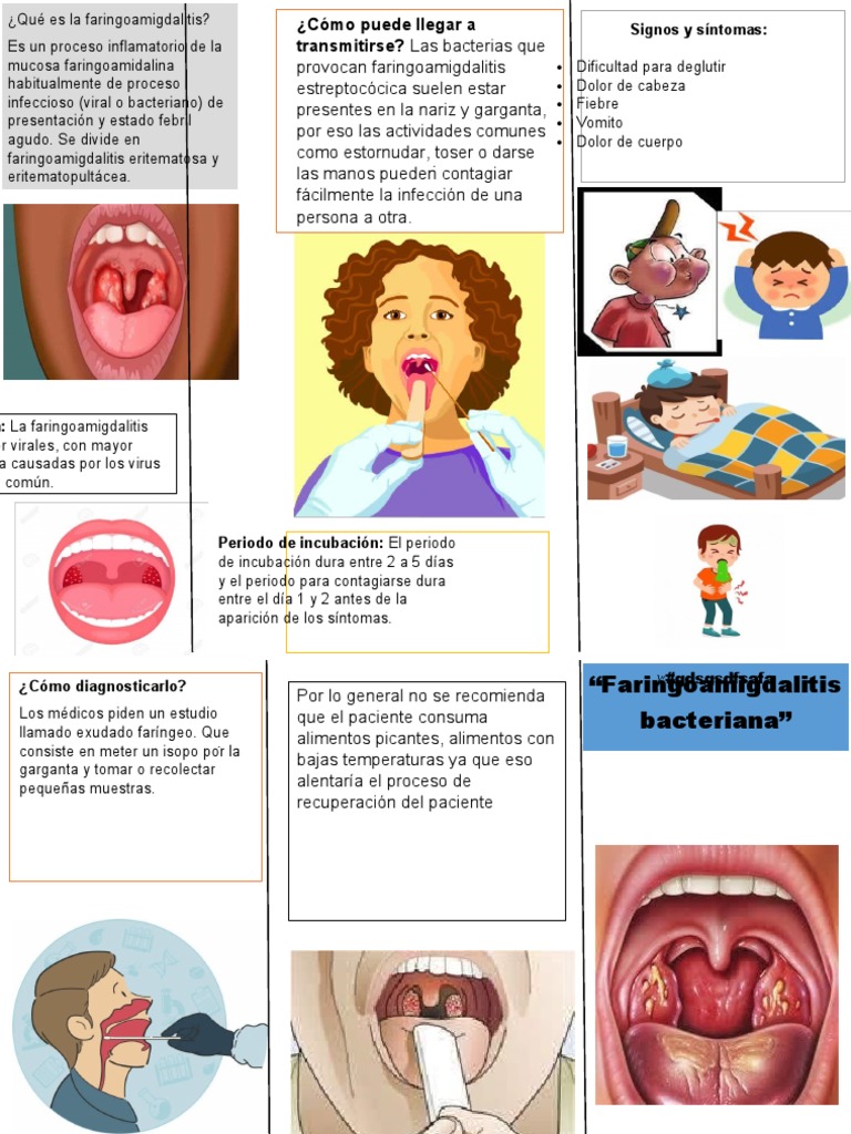 FARINGO AMIGDALITIS Tríptico | PDF | Fiebre | Virus
