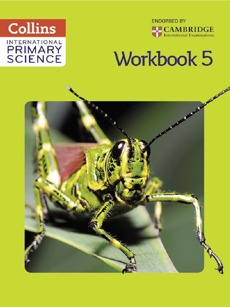 978-0!00!758625-7 Int Primary Science Workbook 5 | PDF | Flowers | Shadow