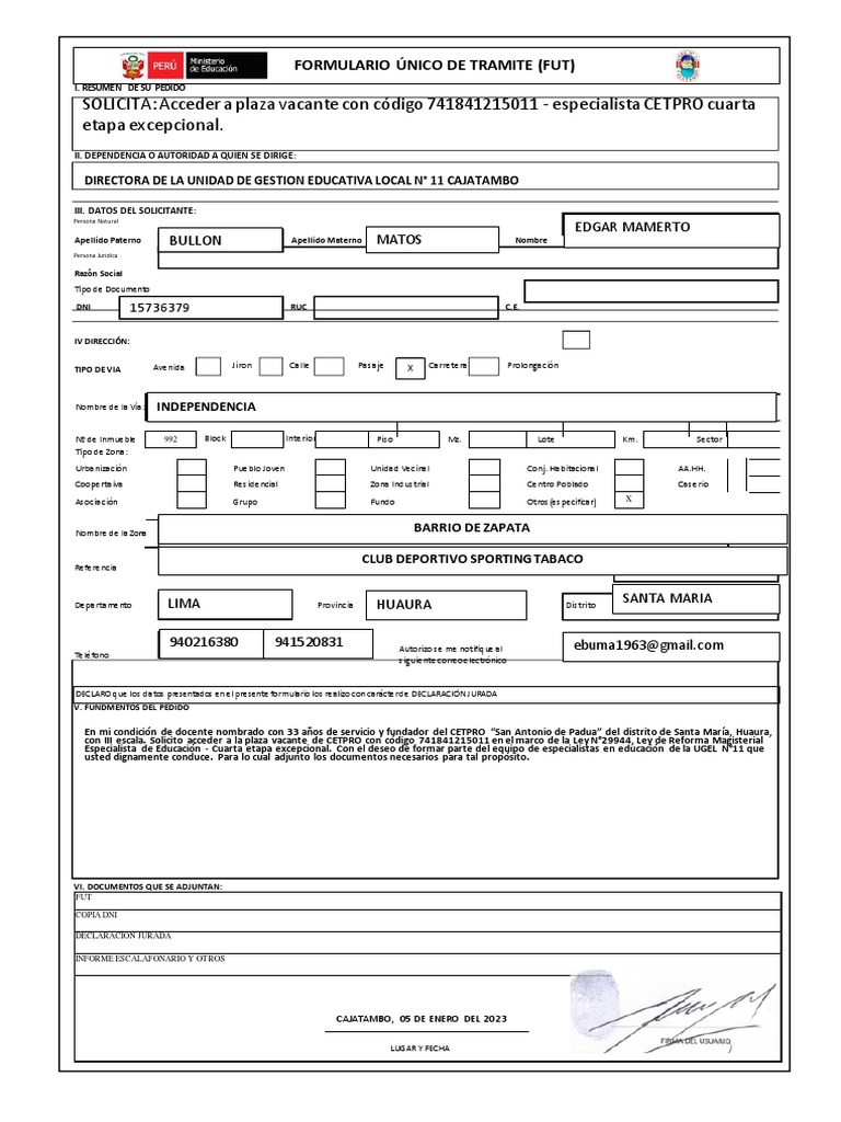 Solicitud de encargatura de plaza vacante de especialista CETPRO | PDF | Gobierno