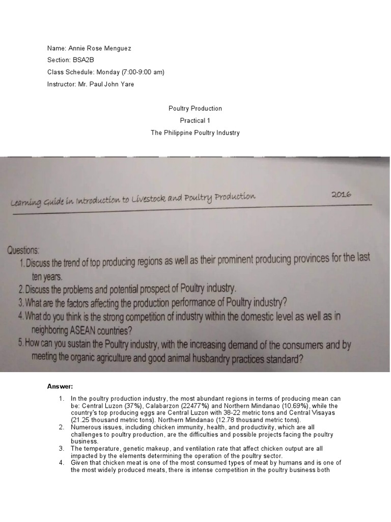 Answer | PDF | Chicken | Poultry