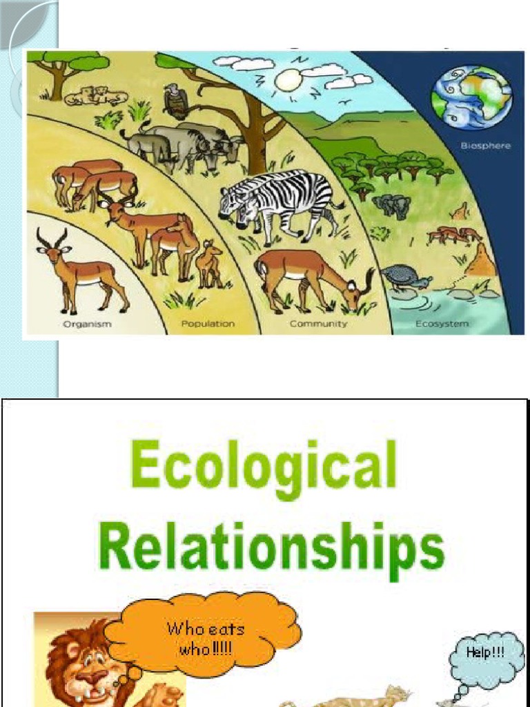 Ecological Relationship | PDF | Symbiosis | Parasitism