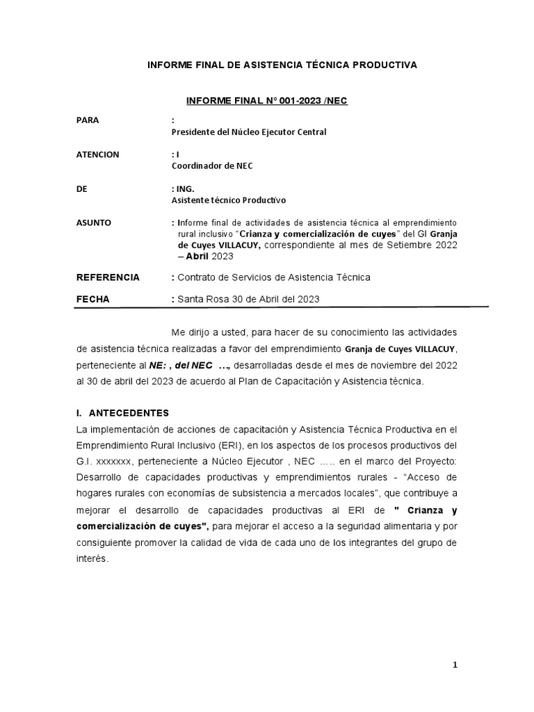 Informes - Final - Modelo | PDF | Iniciativa empresarial | Creación de capacidad