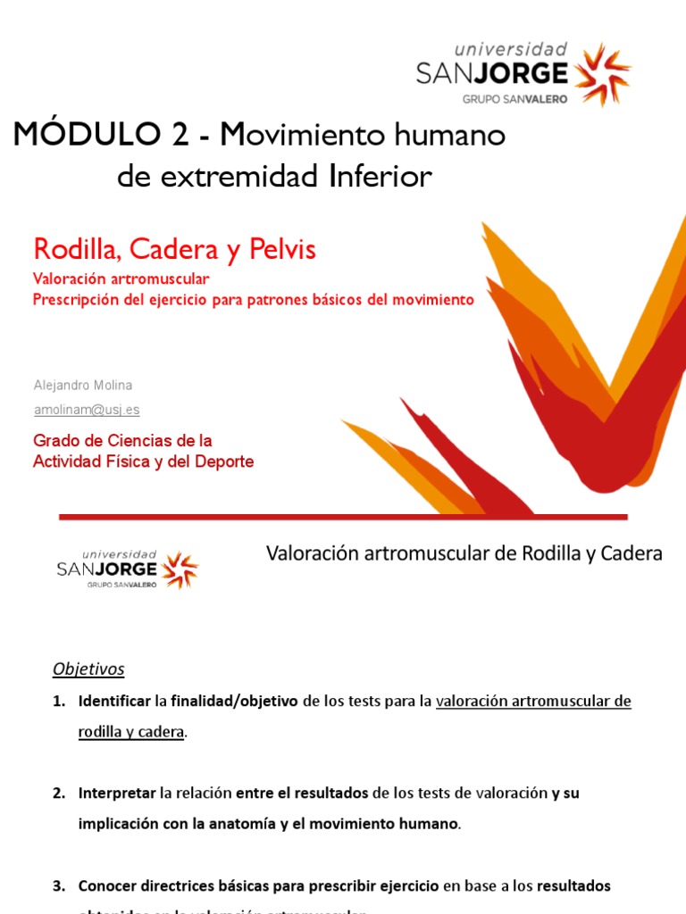 2.1.2 Â Rodila, Cadera y Pelvis (Valoraciã N y Prescripciã N de Ejercicio Fã Sico) | PDF ...