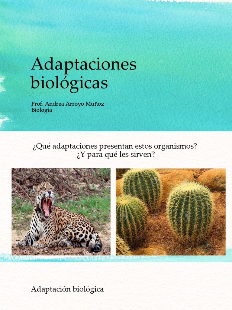 Adaptaciones Biológicas | PDF | Mimetismo | Adaptación