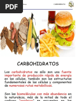 Zimogenos o Proenzimas | PDF | Salud y bienestar