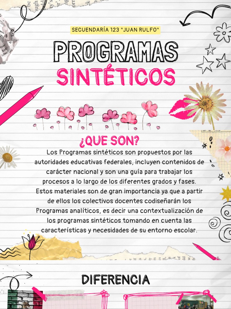 Programas Sinteticos | PDF