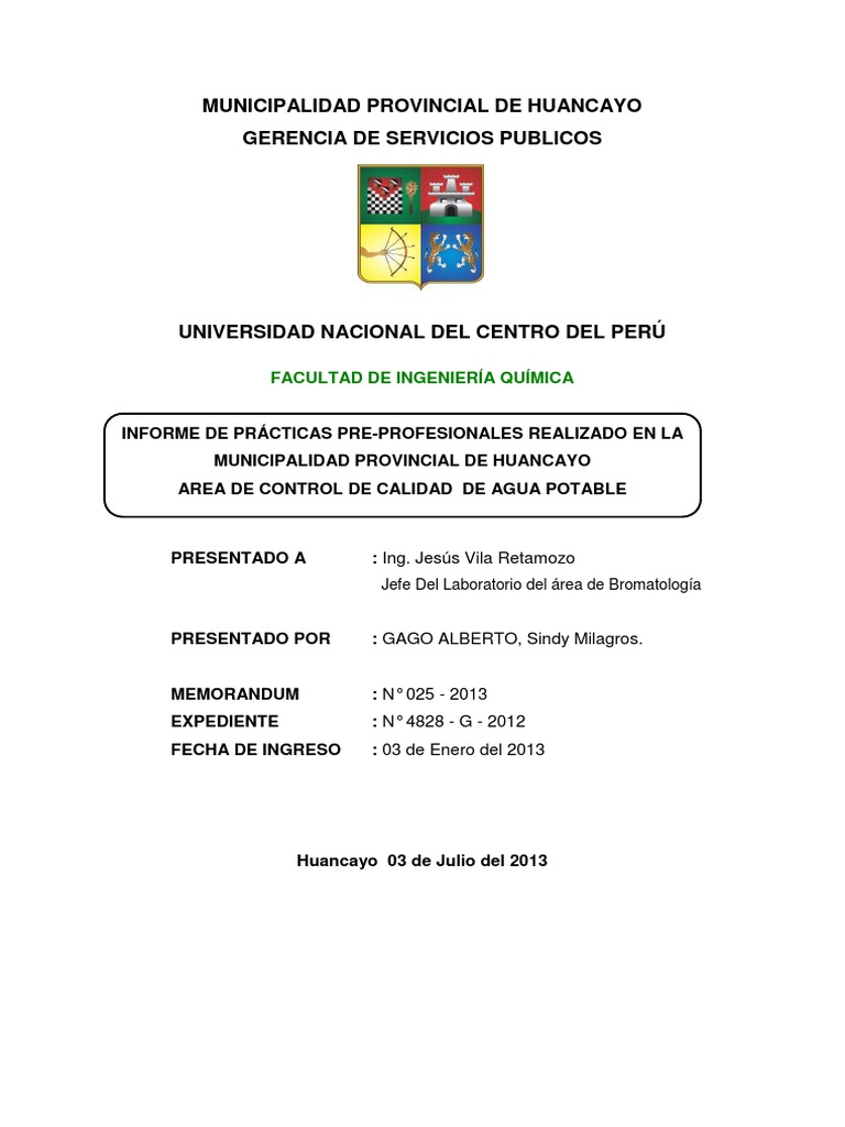 Informe de Practicas Pre Profesionales Municipalidad - Provincial - de - Huancayo - Ger | PDF ...