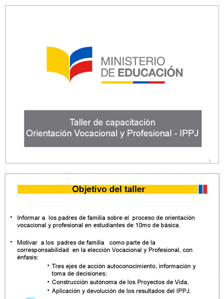 Presentacion - IPPJ FINAL | PDF | Iniciativa empresarial | Contraseña