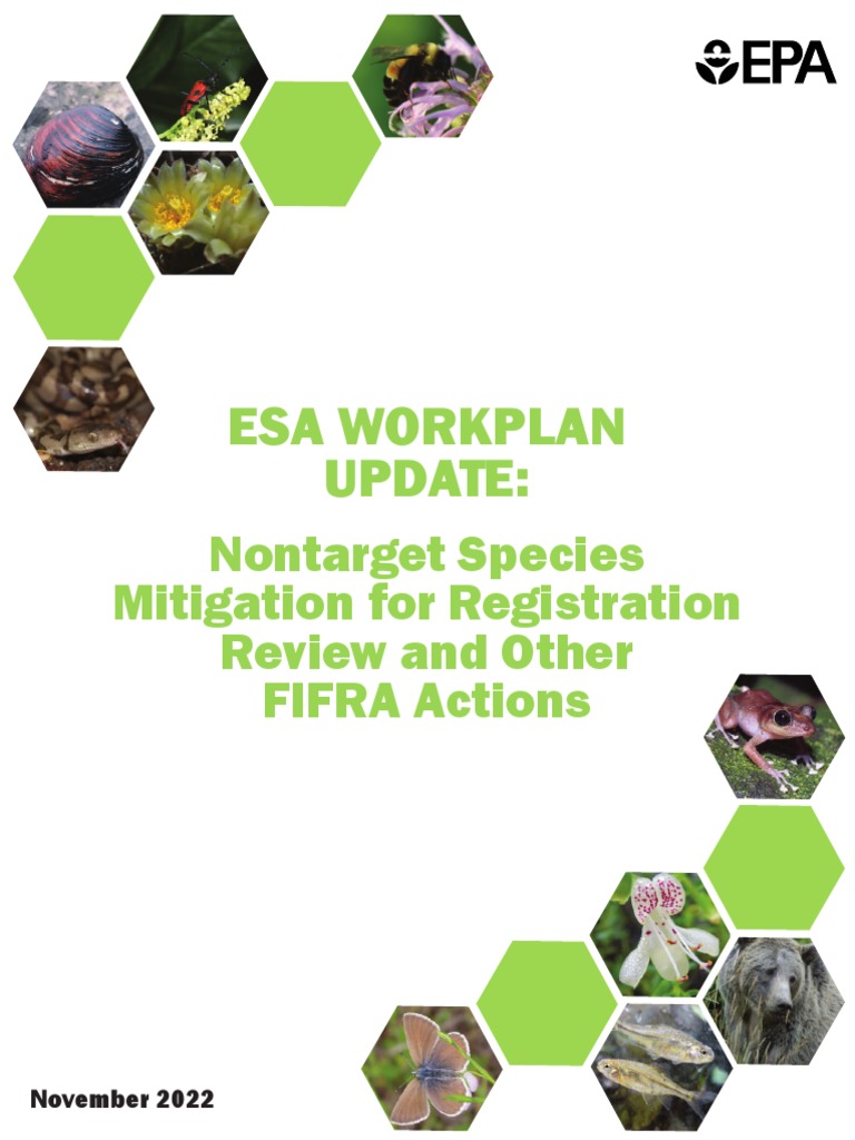 Esa Workplan Update | PDF | Pesticide | Endangered Species Act Of 1973