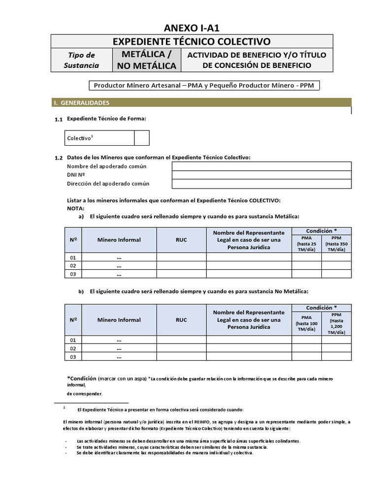 FORMATO EXPEDIENTE TÉCNICO COLECTIVO - Anexo I-A4 - ACTIVIDAD DE ...