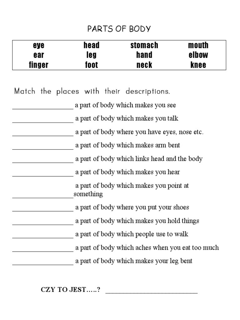 body-description-pdf