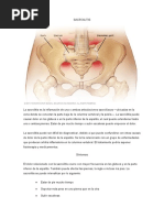 Nutación y Contranutación en la Pelvis | PDF | Pelvis | Sistema esquelético