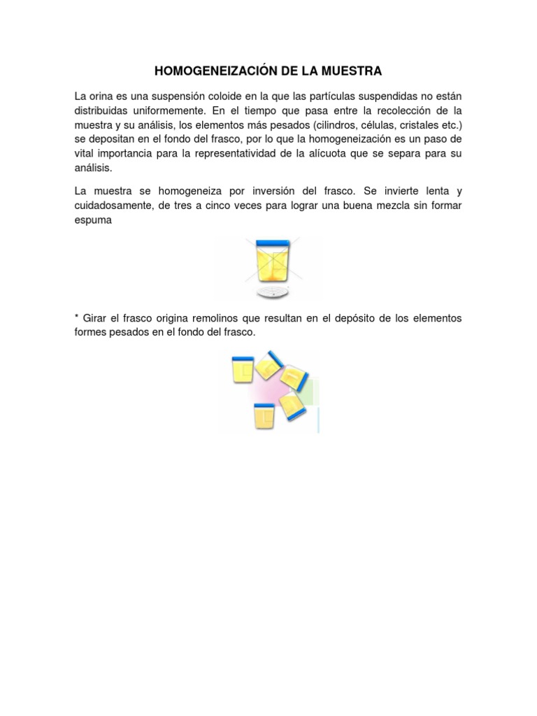 Homogeneización de La Muestra | PDF