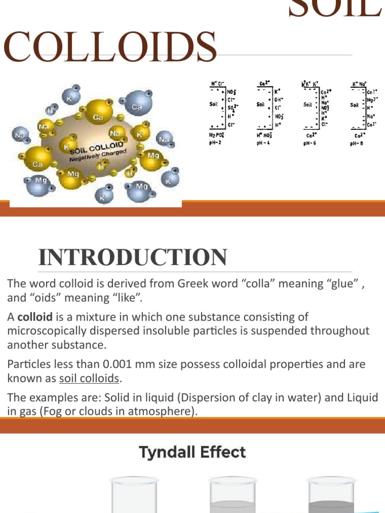 Soil Colloids | Download Free PDF | Soil | Ion