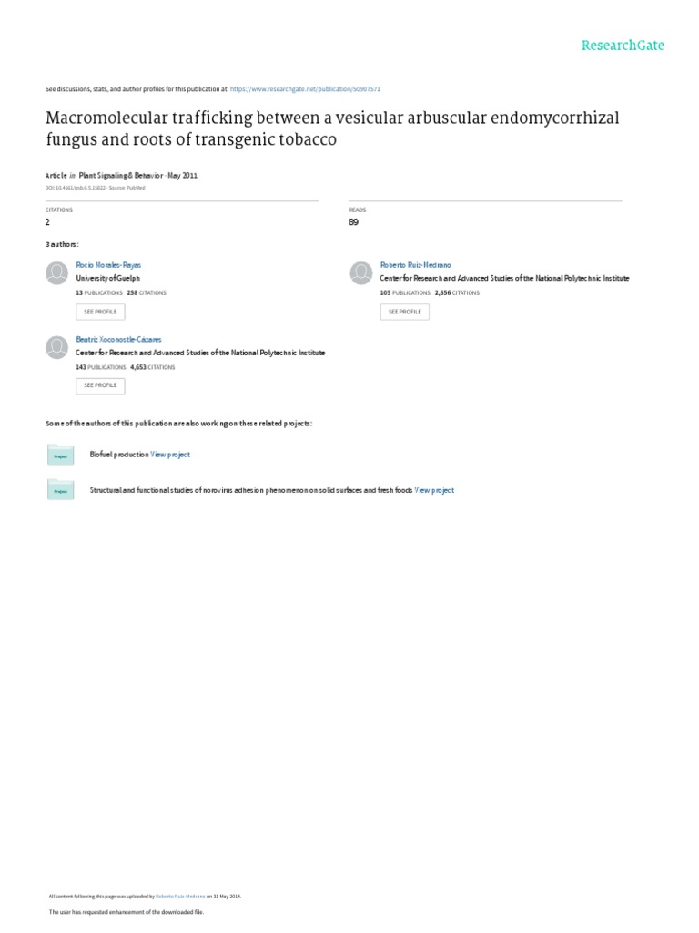 Macromolecular Trafficking Between A Vesicular Arb | PDF | Fungus | Biology