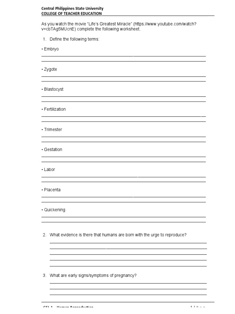 ACTIVITY ON Lifes Greatest Miracle Vidoe | PDF | Wellness