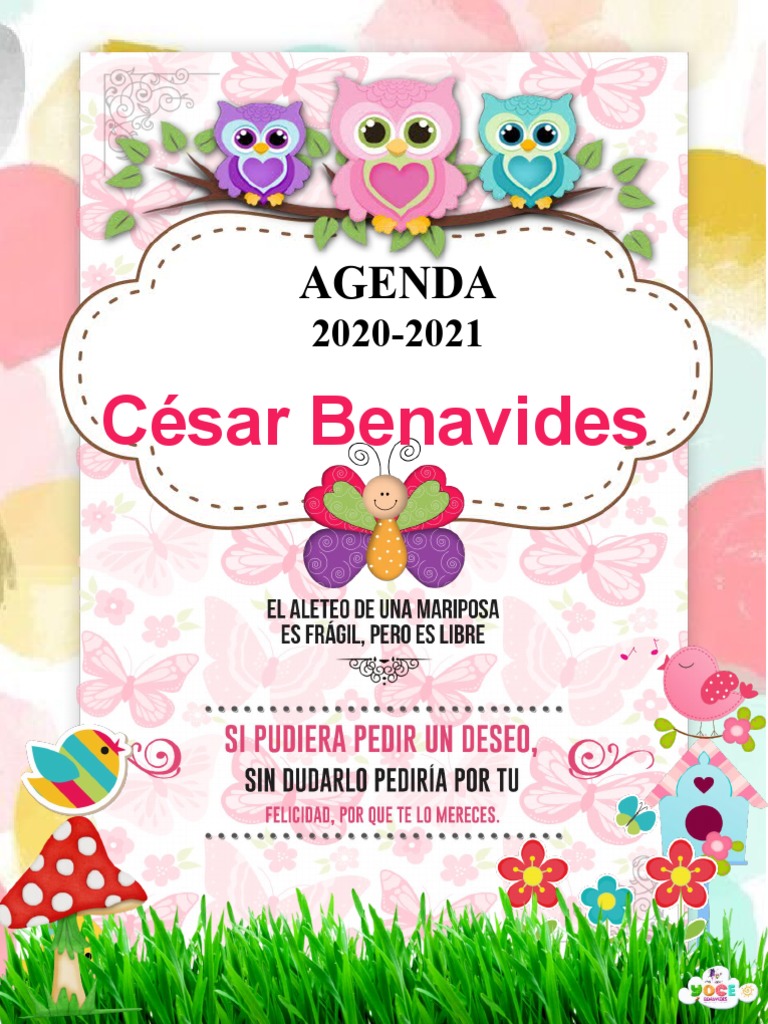 Agenda 2020-2021 César Benavides | PDF