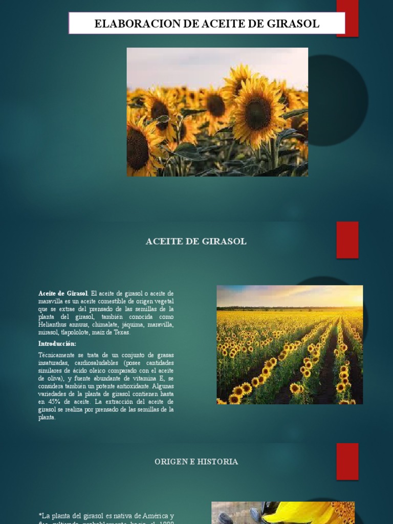 Proceso de Elaboración del Aceite de Girasol | PDF | Aceite de oliva ...